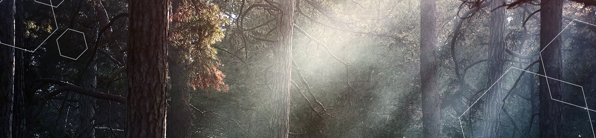 Rendering with SOLIDWORKS: Illuminate Your Designs with SOLIDWORKS Vis